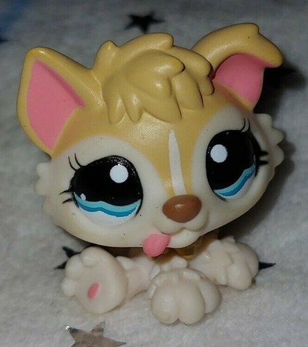 Authentic Littlest Pet Shop Lot 1012 + 1013 Husky Dog Baby Puppy and ...