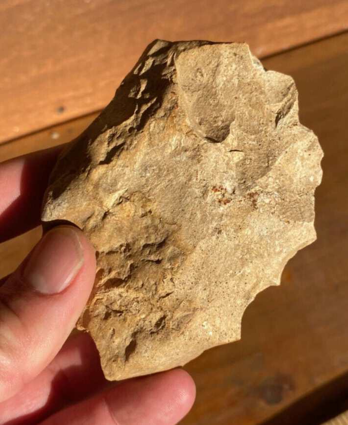 Ancient Stone Tool - Native American Indian Artifact Cultural Chop Cut ...