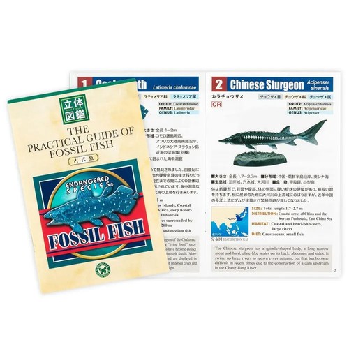 Japan NEW Colorata Ancient Fish Figure Set with Guidebook Realistic ...
