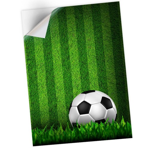 1 x Vinyl Sticker A1 - Football Pitch Ball #14384 | eBay UK