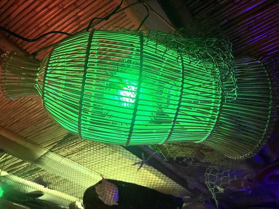 NEW Rattan Fish Trap Lamp W/ Real Puffer Fish Green Led Smokin Tikis ...