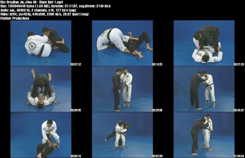 Brazilian Jiu Jitsu - White to Black Belt starring Joe Moreira (10 DVD ...