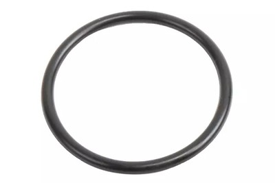 Genuine GM Engine Coolant Outlet Pipe Seal 94011604 | eBay