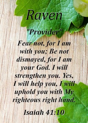 Raven "Provider" Keepsake Name Meaning Card with Bible Verse | eBay