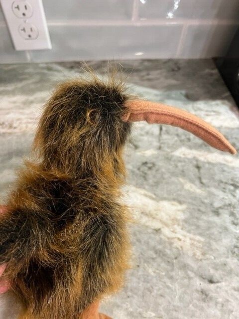 TY BEAK The Kiwi Beanie Buddy Retired 1998 Vintage | eBay