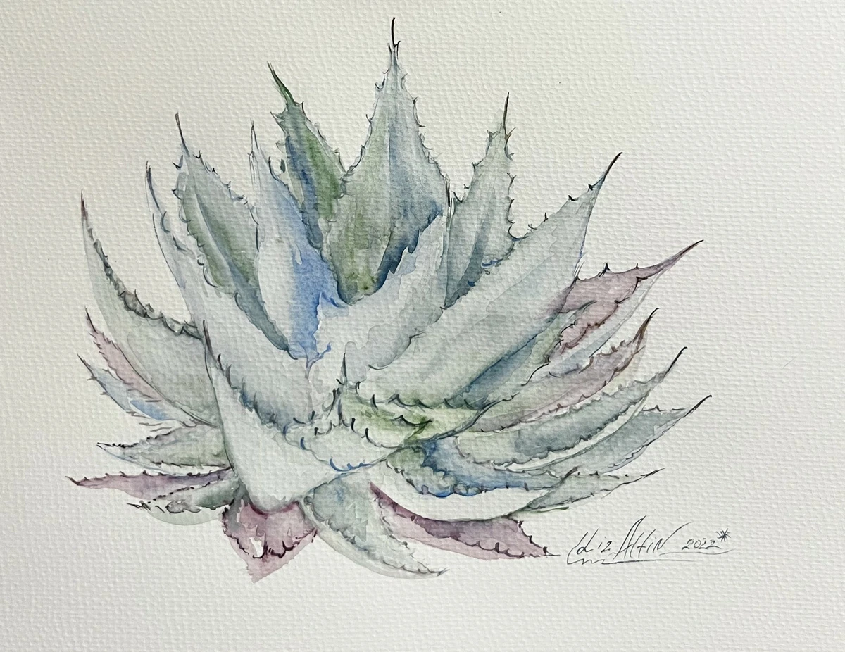 Blue Agave Plant Painting