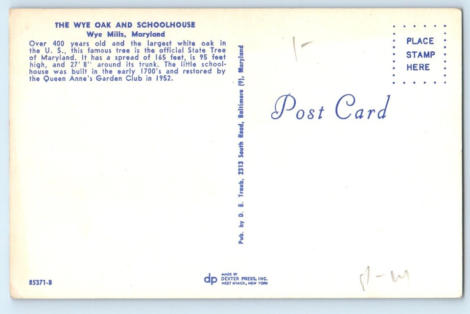 1960 Wye Mills Maryland MD Vintage Postcard Oak Schoolhouse Famous Tree ...