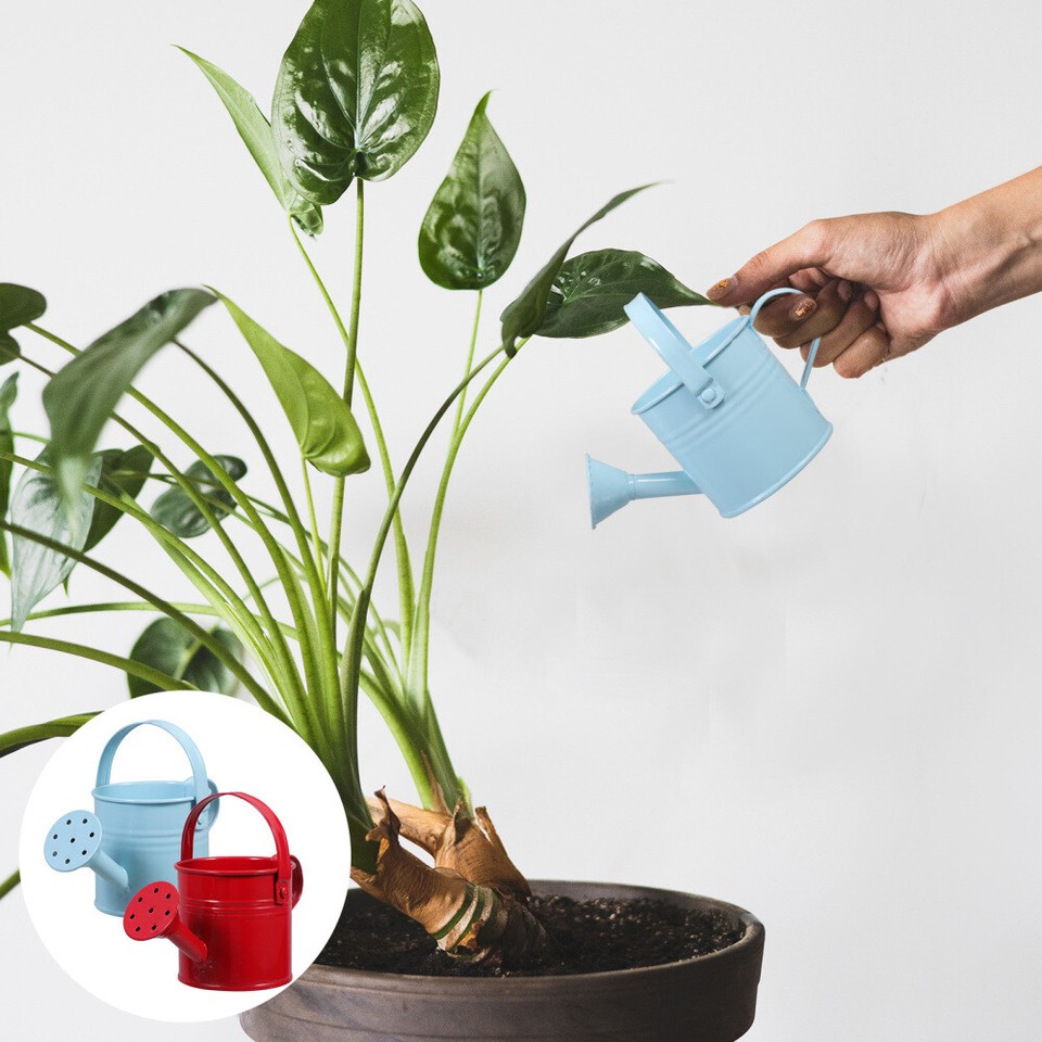Watering Sprinkling Kettle Home Watering Pot Metal Sprinkling Can | eBay