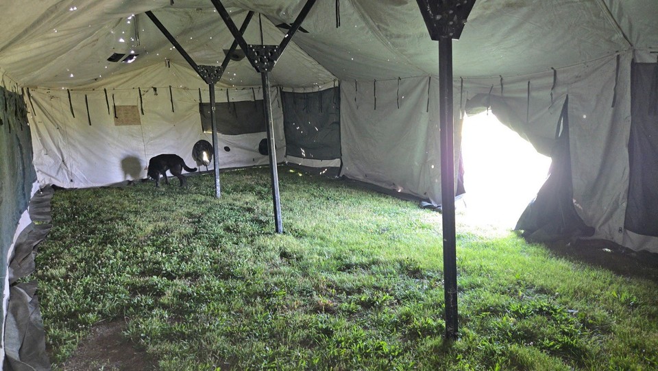 Military MGPT tent/ 18’x36’/ free shipping/ green | eBay