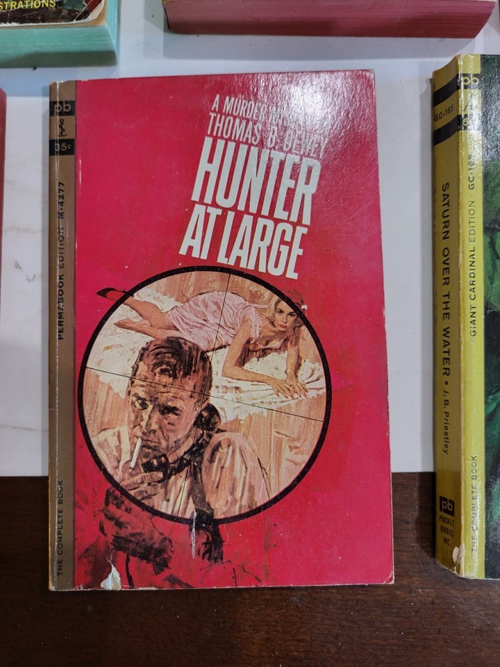 Lot Of very collectible/famous Paperbacks 1950-1960s X17 Books See ...