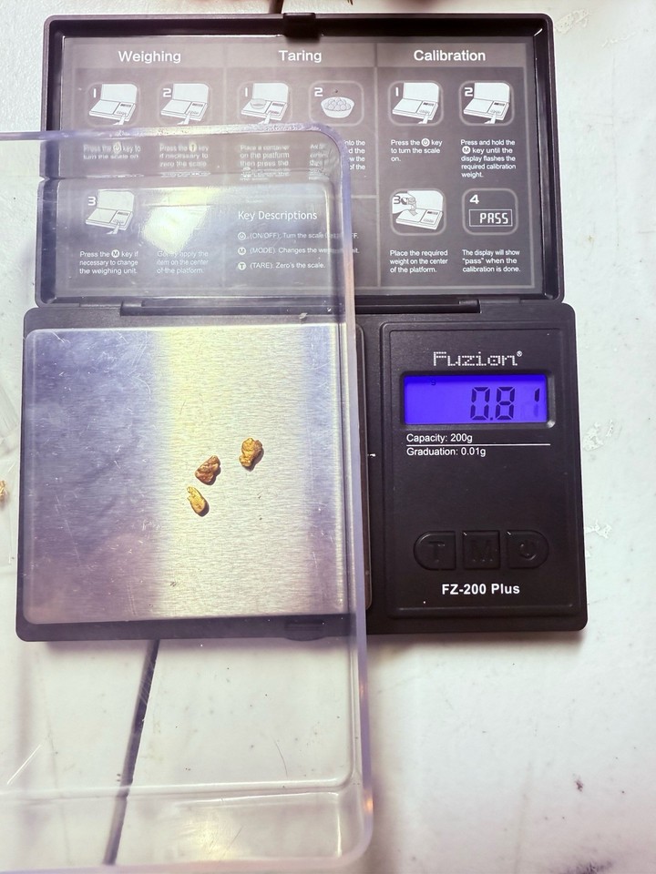 .80 Grams of Alaskan Raw Gold Nuggets Natural Placer Alaska Placer | eBay