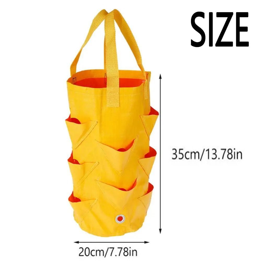 Foldable Side Planting Pouch 3L Strawberry Grow Bag Outdoor | eBay