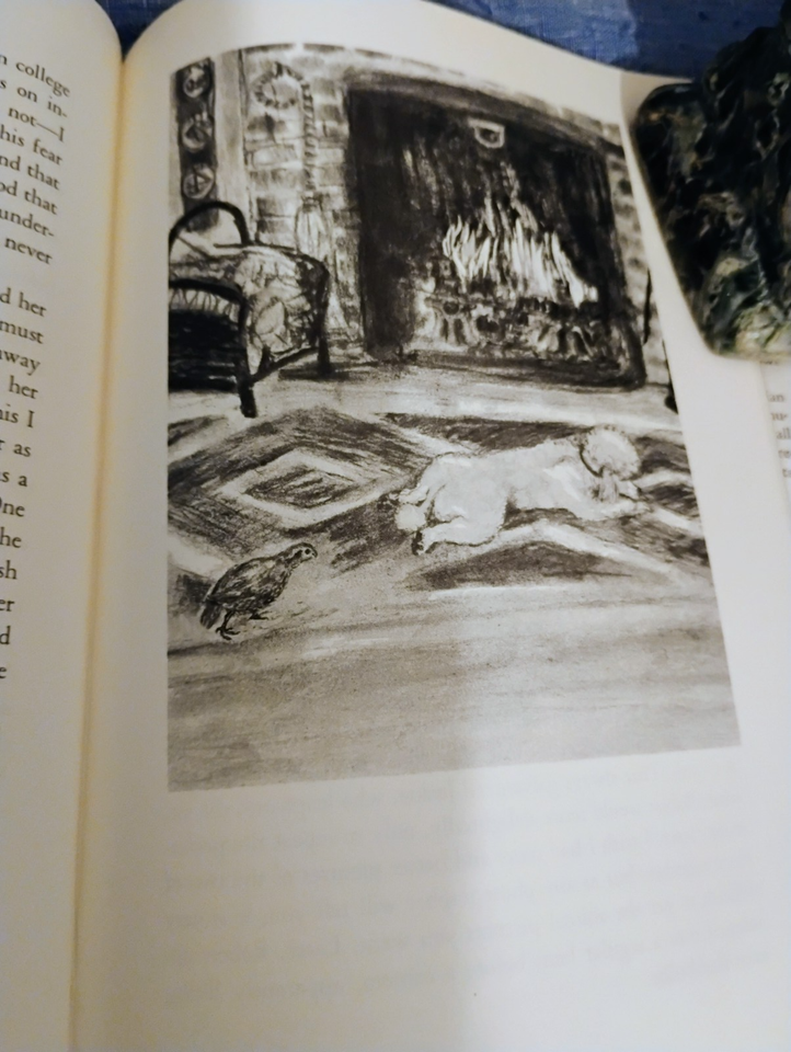 THAT QUAIL, ROBERT, STANGER, MARGARET A. 1966, 1ST ED 4TH PRINTING ...