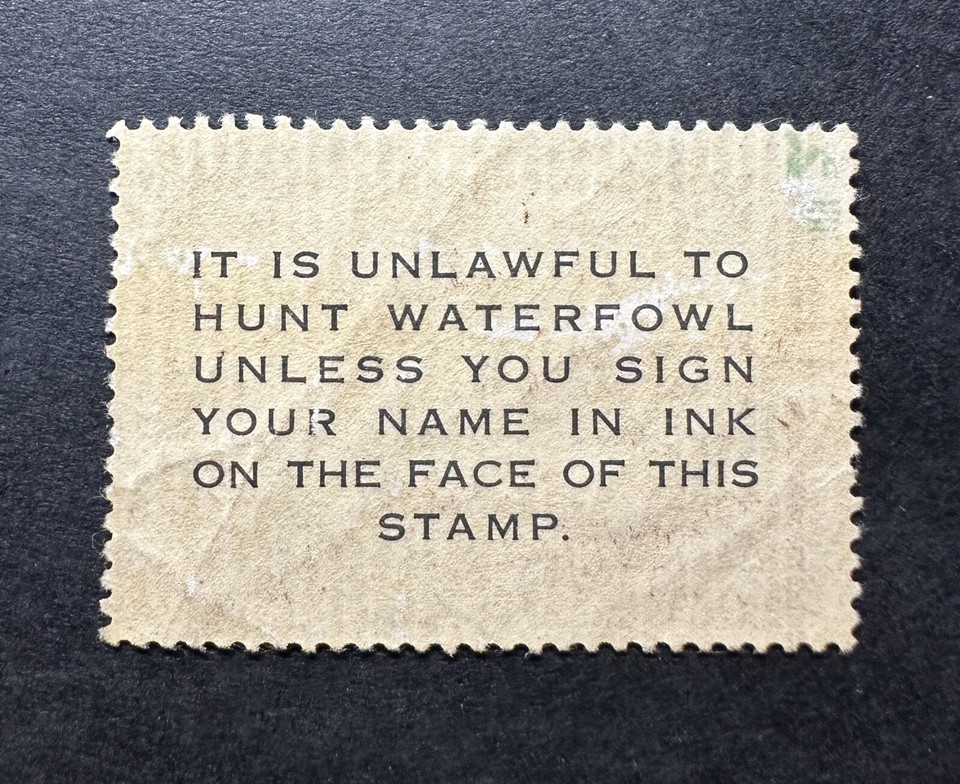 WTDstamps - #RW20 1953 - US Federal Duck Stamp - Tiny spot of missing ...