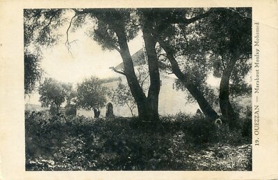 CARTE POSTALE // MAROC // OUEZZAN MARABOUT MOULAY MAHOMED | eBay