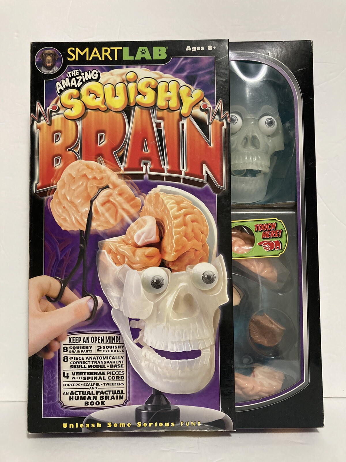 Amazing Squishy Brain by SmartLab Toys Staff and Ben Grossblatt (2009 ...