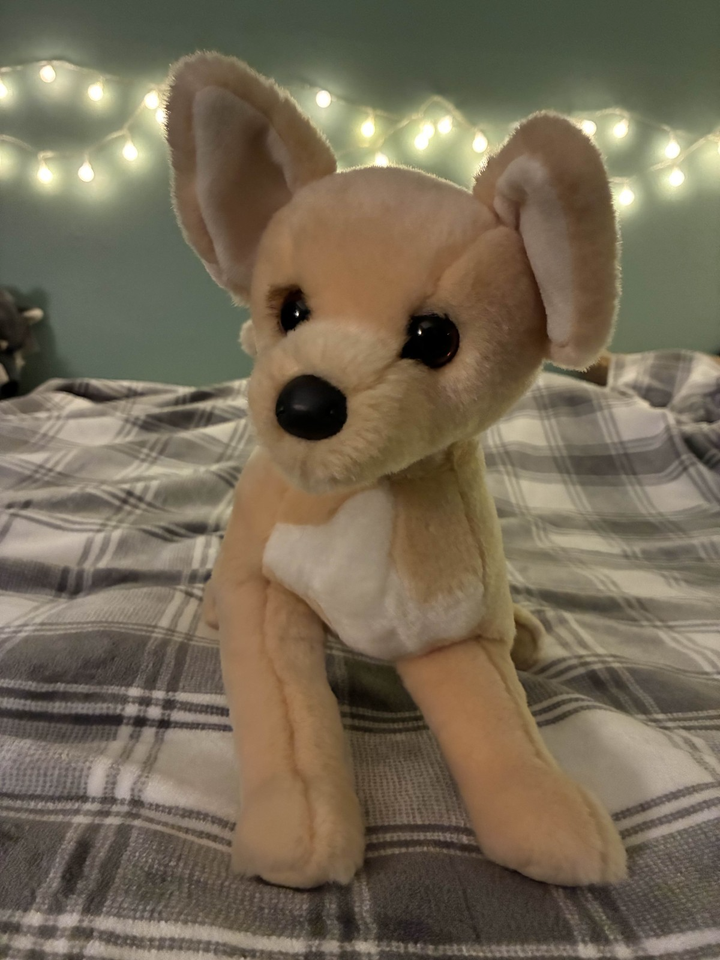 RARE/RETIRED Douglas Cuddle Toys | 16" Nacho Chihuahua Plush | USED | eBay
