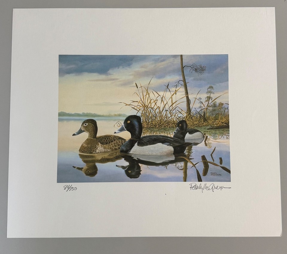 1984 Louisiana State Duck Stamp & Print - Randy McGovern | eBay