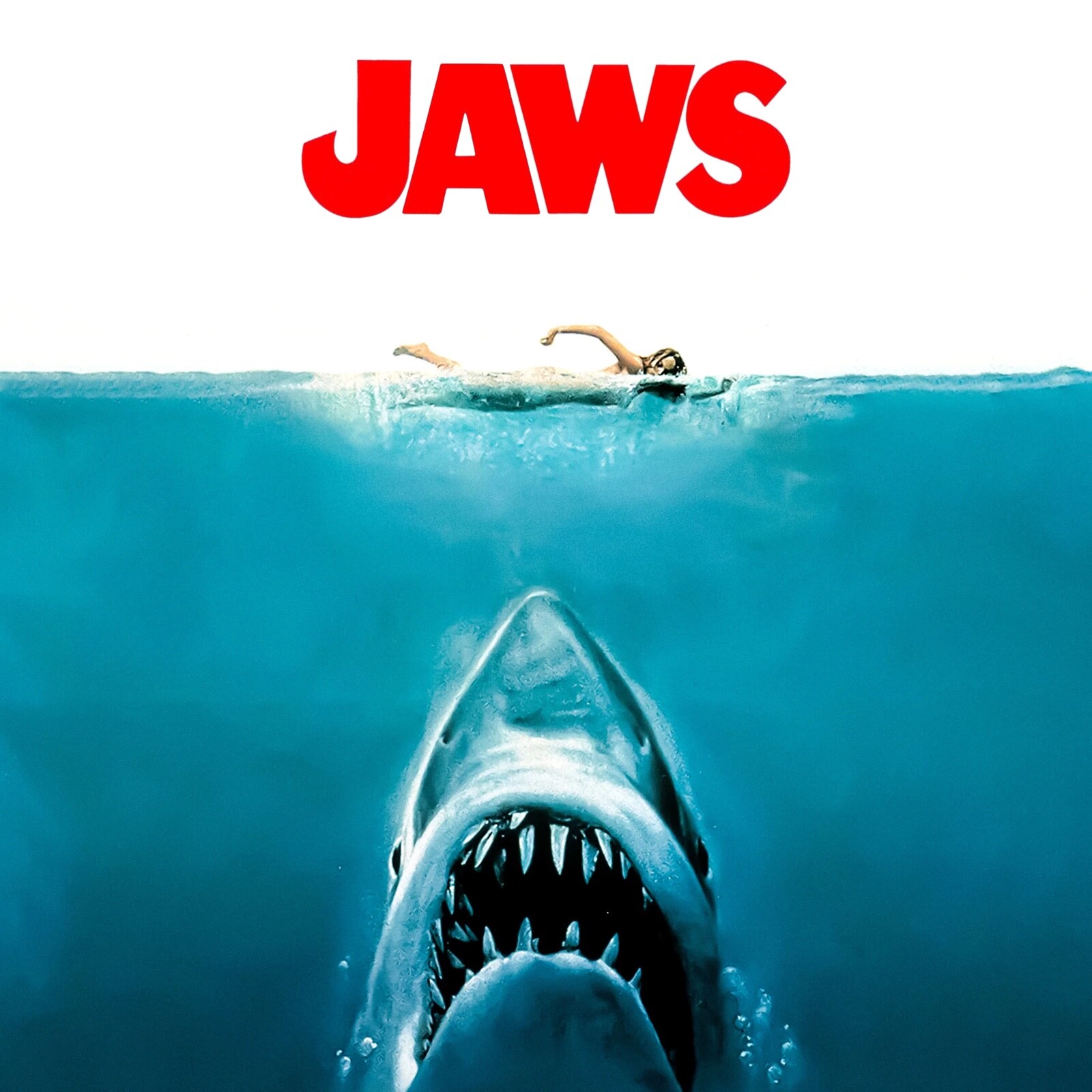 1/6 Jaws Backdrop 15"x15" - For 1/6 Quint Hooper Brody Bruce NECA ...