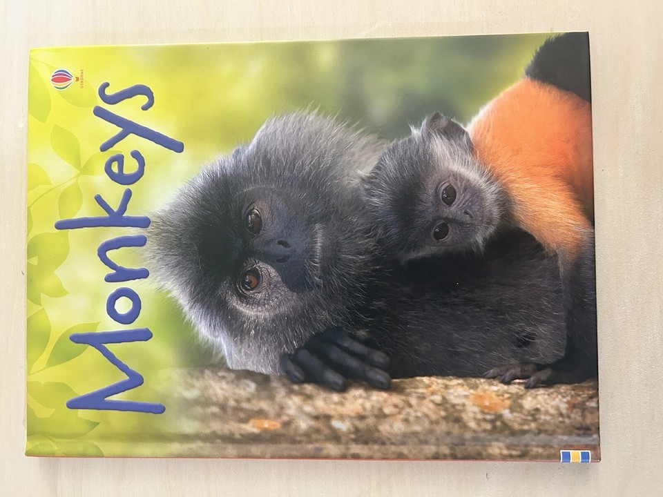 Usborne Book Lot-5 Books in Total, 1 Activity Book Included, Hardcovers ...