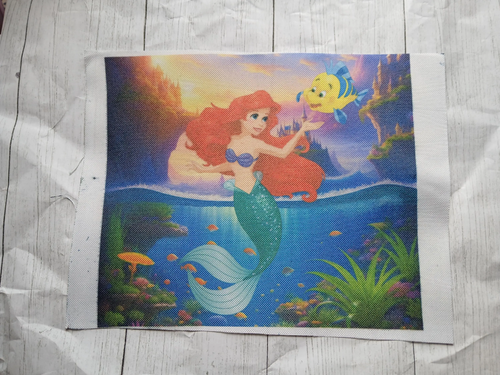 Ariel Canvas Print - 8.5" X 11" | eBay