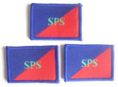 TRF AGC SPS ARM BADGE DZ - SEW ON x3 | eBay UK