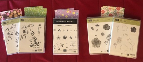 Stampin Up Stamp Sets FLOWERING FLOURISHES, RAINING FLOWERS or ...
