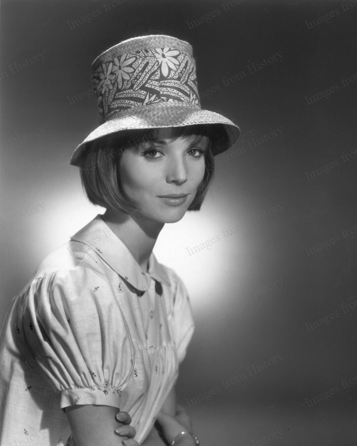 8x10 Print Elsa Martinelli in Hatari! 1962 #EMAA | eBay