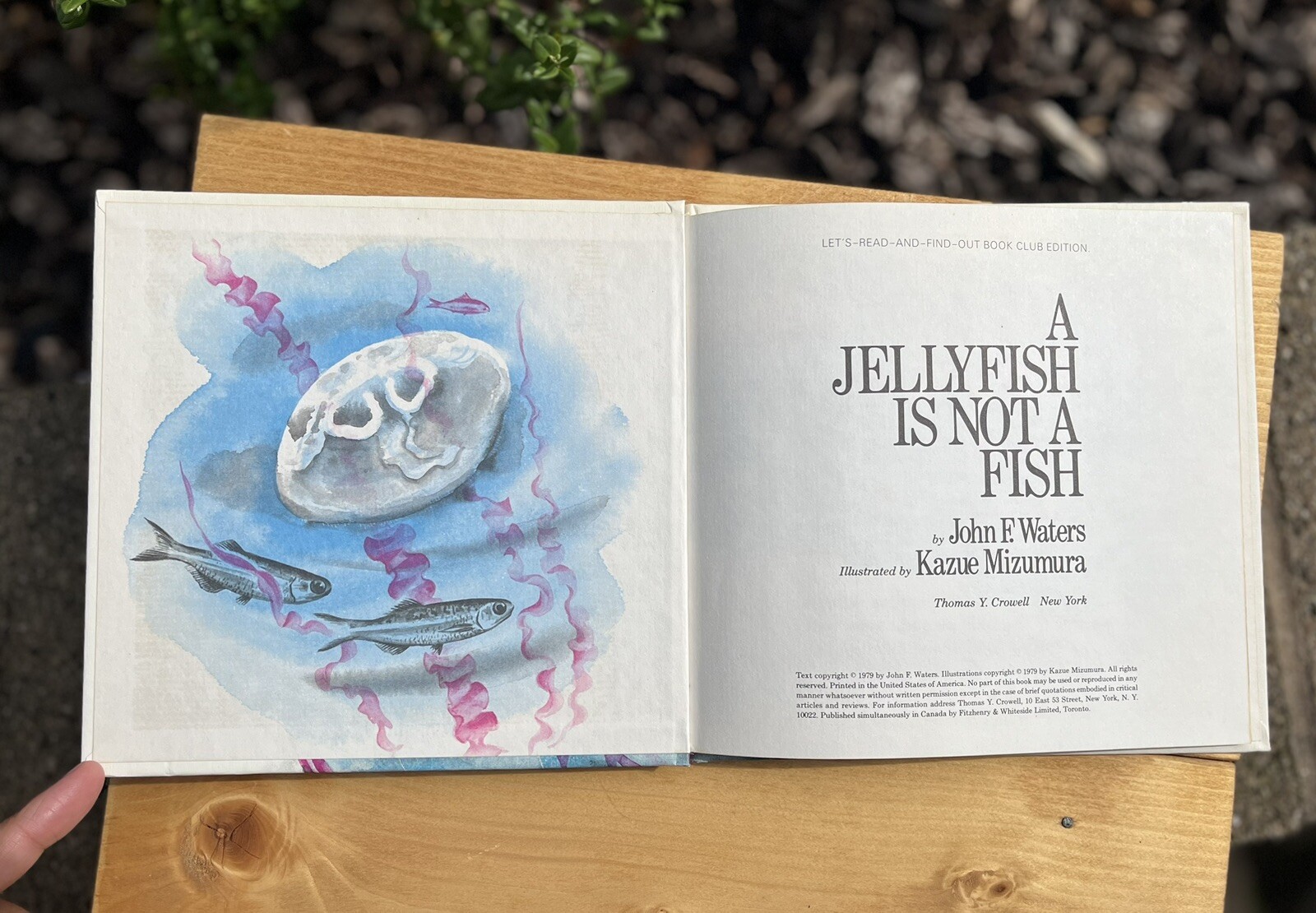 A JELLYFISH IS NOT A FISH (1979) John Waters Mizumura Hardcover ...