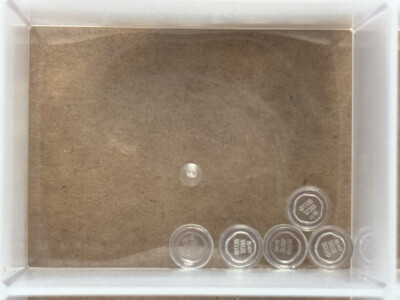 LEGO Parts - Trans-Clear Tile, Round 1 x 1 - No 98138 - QTY 5 | eBay