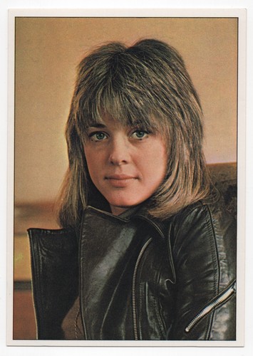 Suzi Quatro Card Panini Pop Stars Sticker 1975 Mini-Poster Vintage Rock ...