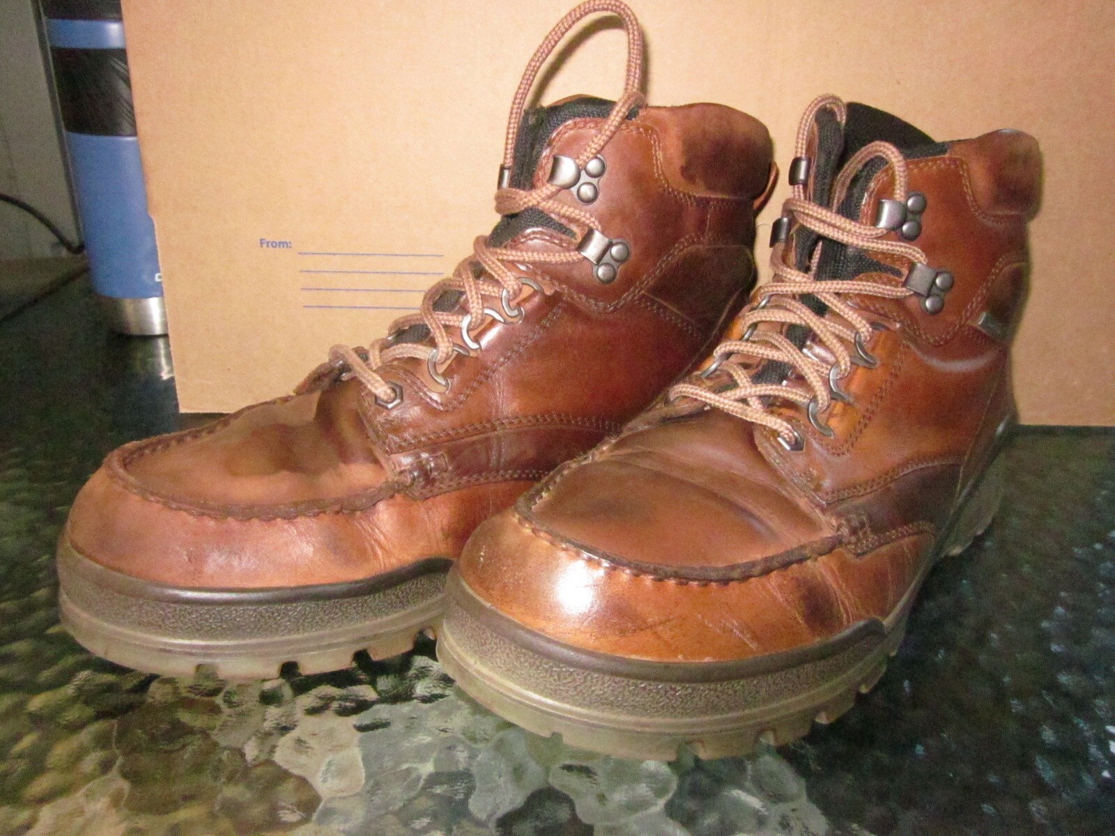 ECCO Men's Track 25 Moc Boot Bison Leather Shoes Size… - Gem