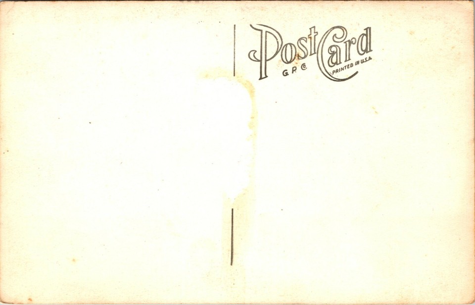 Golden Gate Conservatory San Francisco California Vintage Real Photo ...