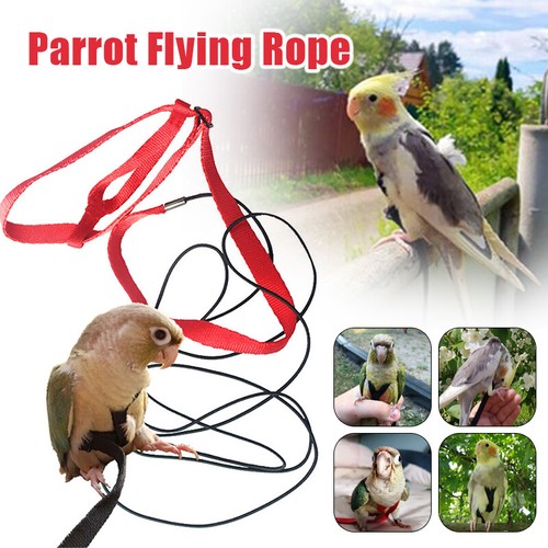 Adjustable Bird Fly Harness Leash Rope Birds Parrot Outdoor Free Flight ...