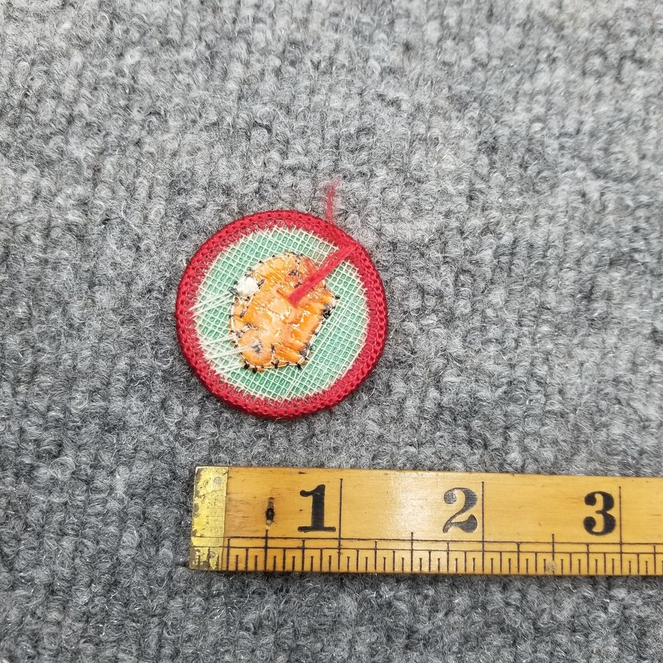 Girl Scout 1980-91 Junior HOUSEHOLD WHIZ BADGE Piggy Bank Money Budget ...