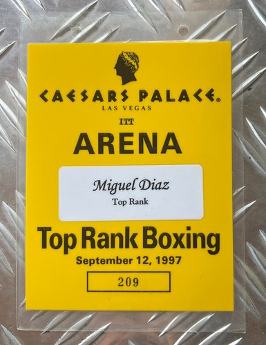 1997 STEVIE JOHNSTON vs Saul Duran ~ Daniel Santos Boxing RARE ...