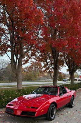 1982 Pontiac Firebird Trans Am Red Poster | Classic Car Wall Art ...