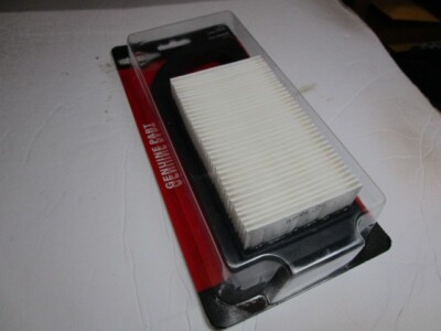 Briggs and Stratton 5079 Engine Air Filter/Pre-Cleaner | eBay