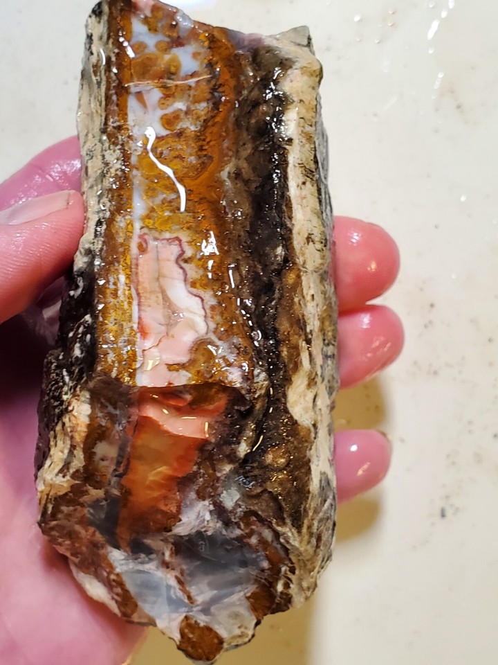 Banded Opalized Jasper Agate Wonderstone Rough Mexico 513g Lapidary ...