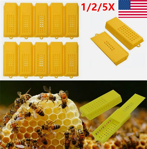 1/2/5Pcs Professional Queen Bee Butler Cage Catcher Trap Case ...