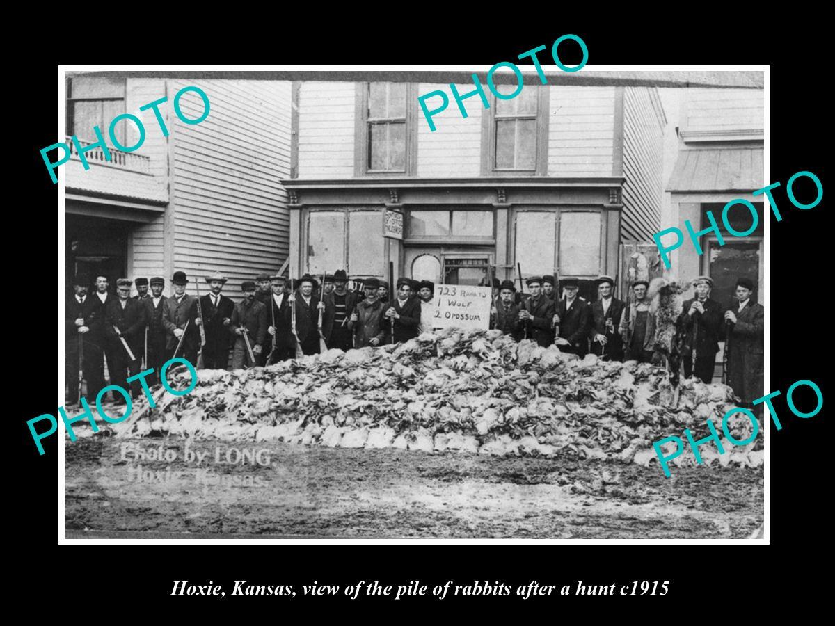 OLD LARGE HISTORIC PHOTO OF HOXIE KANSAS LARGE PILE OF RABBITS AFTER ...