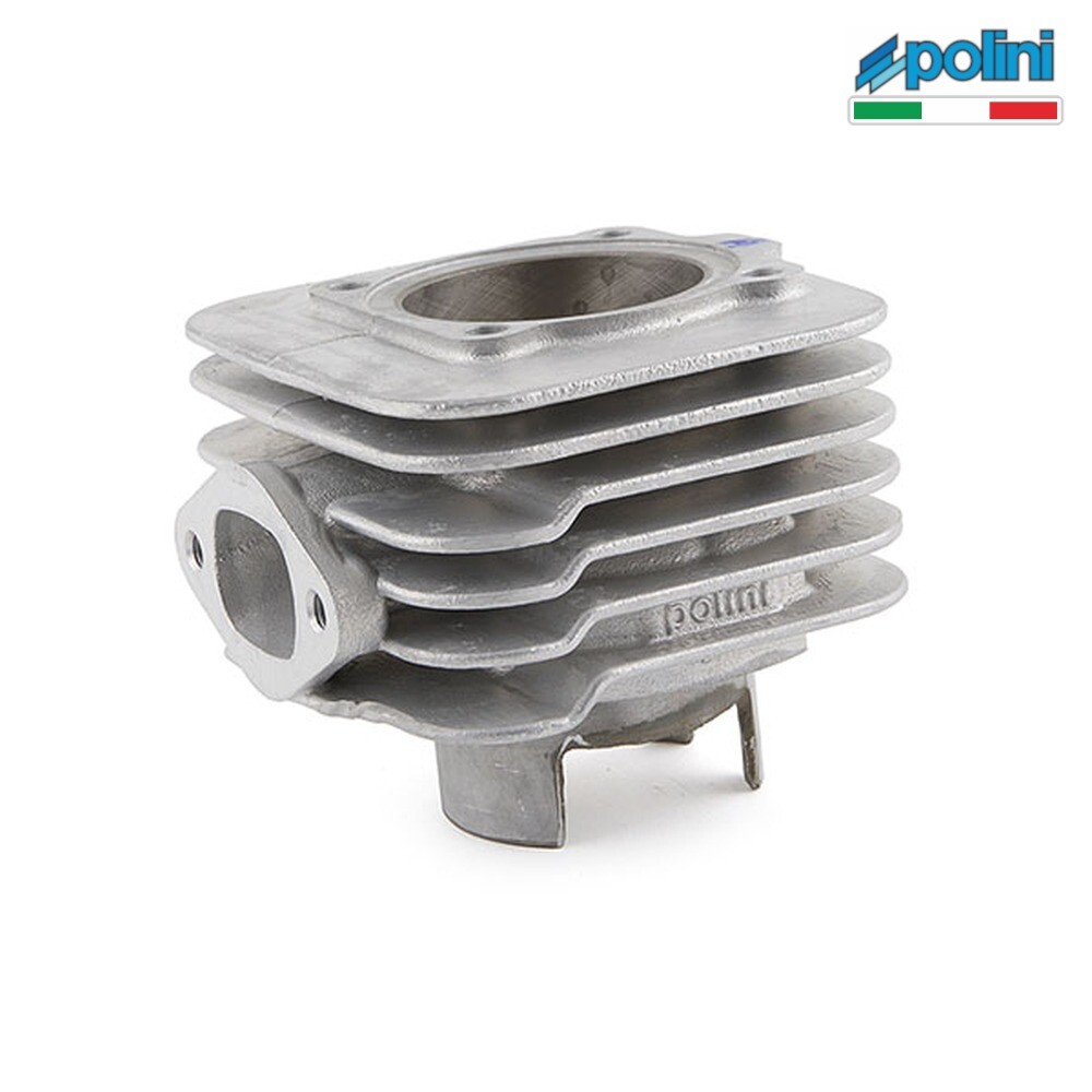 Gruppe Thermisch POLINI Für Race 70CC AC Piaggio 50 Zip Fast Rider 1996 ...