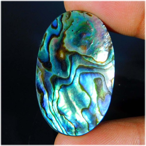 38.80Cts. Natural Top Quality Paua Abalone Shell Oval Cabochon Loose ...