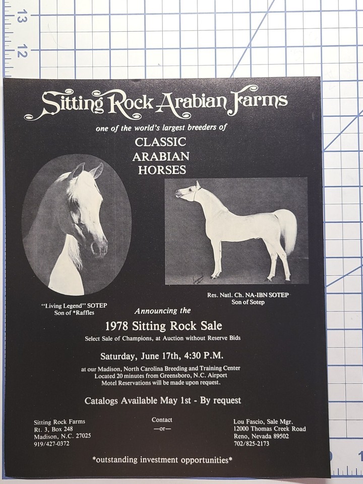 Sitting Rock Arabian Farms Horse Sale Madison NC Vintage Print Ad 1978 ...
