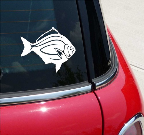 SURF PERCH FISH FISHING BAIT GRAPHIC DECAL STICKER ART CAR WALL DECOR ...