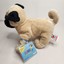Webkinz Pug for sale online | eBay