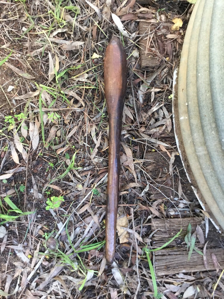 OLD ABORIGINAL HARD WOOD WOODEN NULLA NULLA WADDY FIGHTING CLUB WAR ...