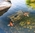Hiding Place Fish Protector Koi Pond Realistic Faux Log Fish Cave ...