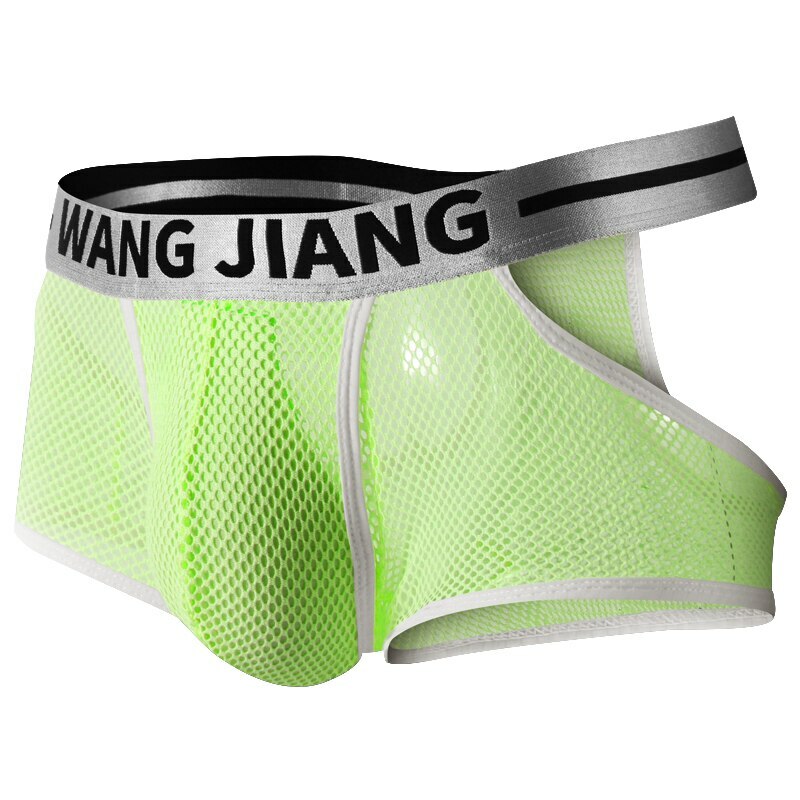 Seductive Mesh Boxer Briefs - Revealing Underwear with Transparent ...