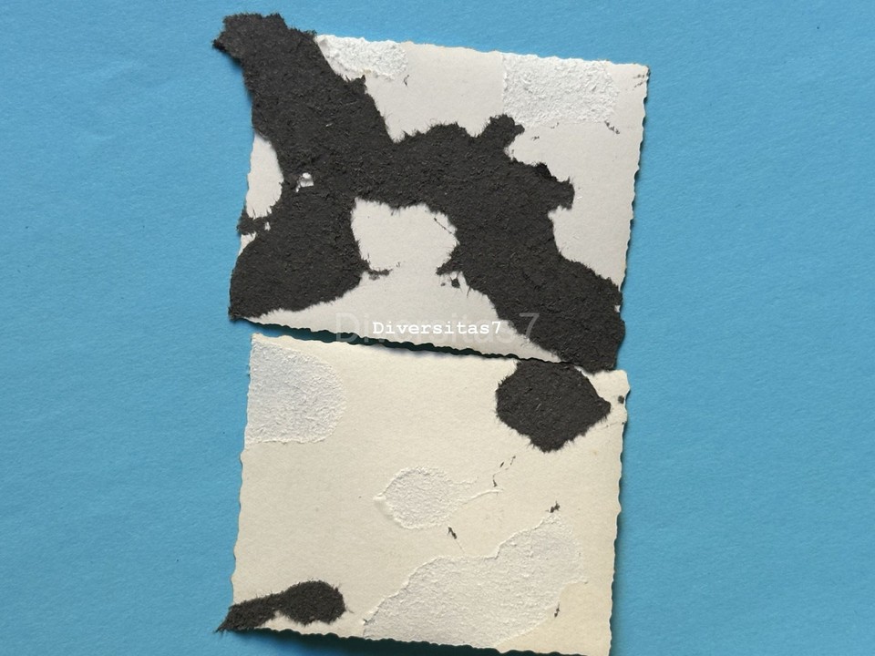 2 x Foto Frontreparaturbetrieb G.L. So.K. 156 Ostfeldzug. überm ...